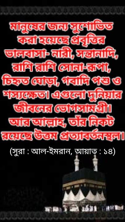 আল ইমরান আয়াত ১৪ Youtube