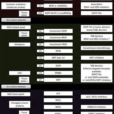 Lung Cancer Testing Algorithm An Example In Clinics Figure Shows Download Scientific