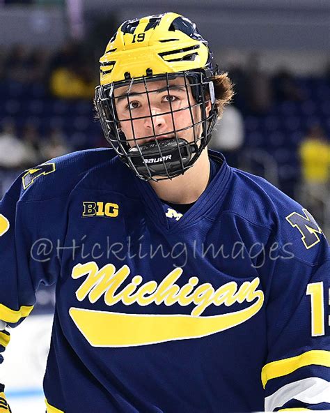 Brendan Brisson Stats Contract Salary And More