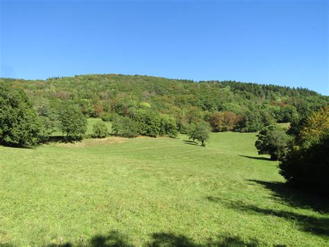 Tenay Map Of Tenay 01230 France