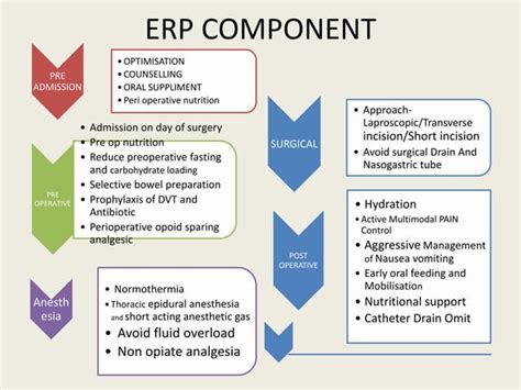 Eras Protocol 3 Pptx Healthcare Industry Industries