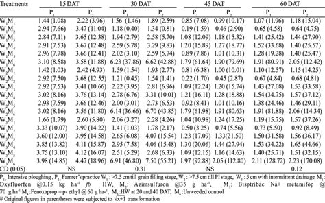 Interaction Effect Of Tillage Water Regimes And Weed Management On Dry