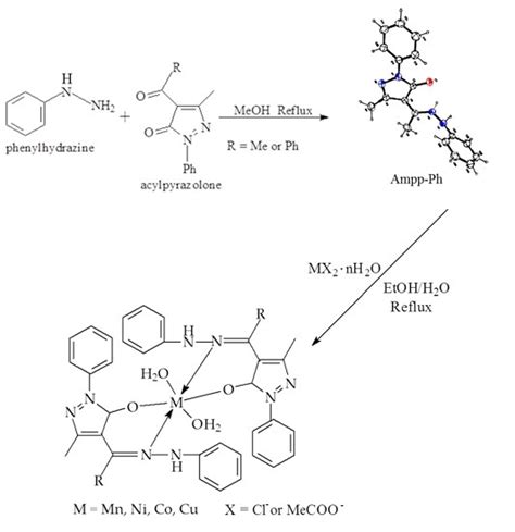 Ijms Free Full Text Metal Complexes Of New Bioactive Pyrazolone