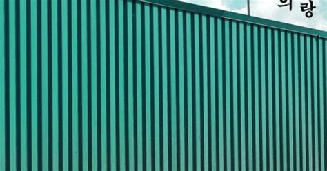 아내가 죽고 나니 보였다 그녀가 가장 꽃 같았던 시절이