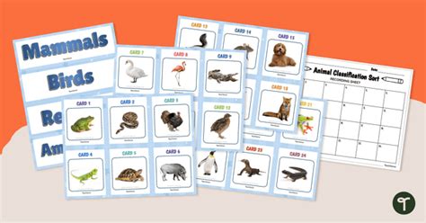 Animal Classification Sort Teach Starter