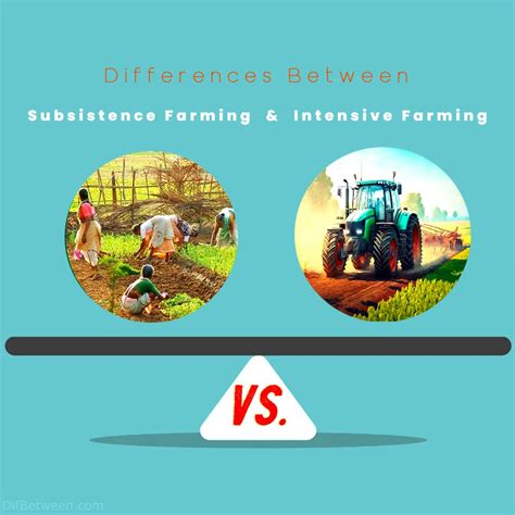 Subsistence Farming Vs Intensive Farming A Comparison