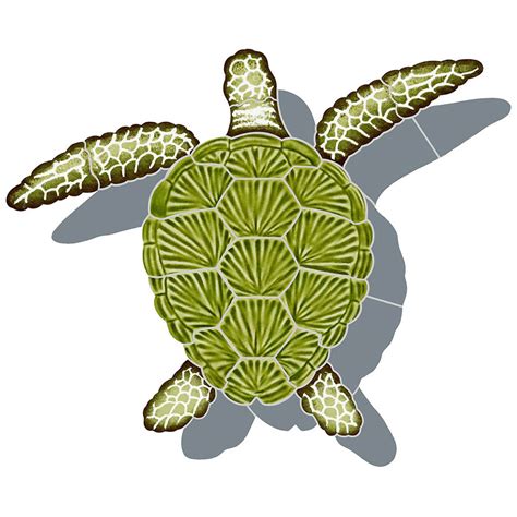 Loggerhead Turtle Shadow Green 9 X 10 Tlsgres Artistry In Mosaics