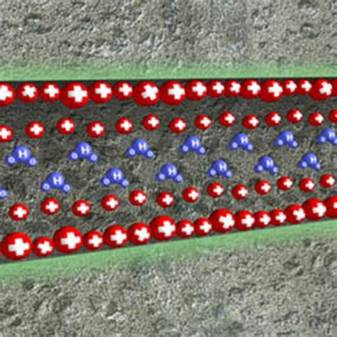 Moisture Control STRUCTURAL