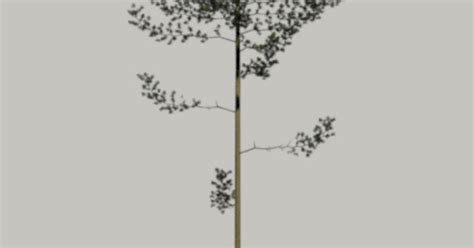 Tree House Autodesk Community Gallery Tree House Autodesk Community Gallery