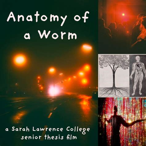 Anatomy Of A Worm Senior Thesis Film By Kaia Goudreau Indiegogo