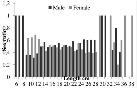 Sex Ratio In Different Size Groups Of Trachurus Indicus In The Arabian Download Scientific