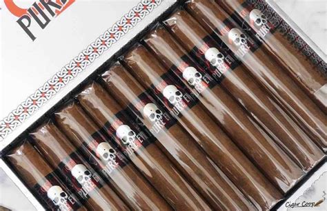 Cigar Review Gurkha Pure Evil Toro Cigar Coop