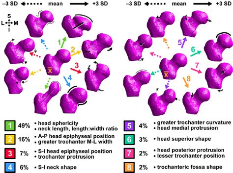 Schematic And Description Of The Eight Modes Of Variation That Account