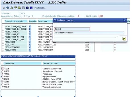 Table Display Se 16 Standard List Not Available An Sap Community