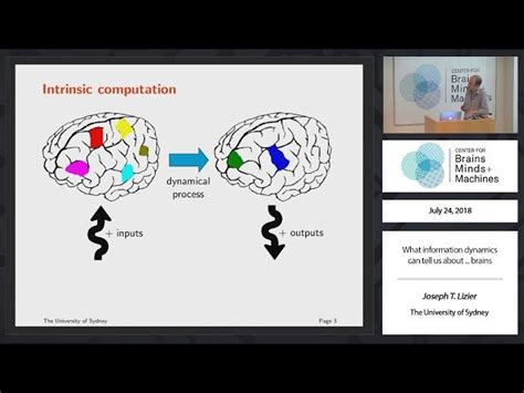 Free Video What Information Dynamics Can Tell Us About Brains From Mitcbmm Class Central