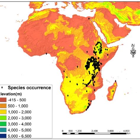 Spatial Distribution Of Species Occurrence Across Elevation Range