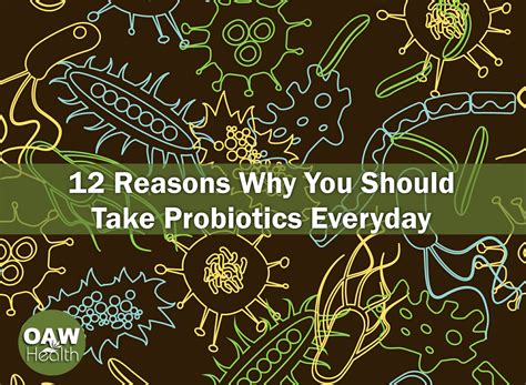12 Reasons Why You Should Take Probiotics Everyday Oawhealth