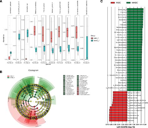 Figure 4 From The Bladder Microbiome Of Nmibc And Mibc Patients