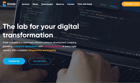 Enlab Software Reviews View Portfolios Designrush