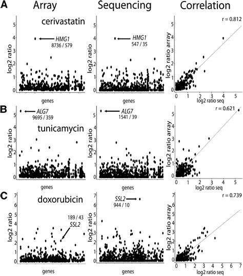 Quantitative Phenotyping Via Deep Barcode Sequencing