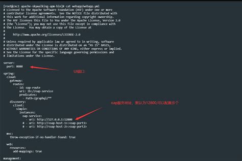 链路追踪组件skywalking使用comlinecorparmeriaclientresponsetimeoutexcepti