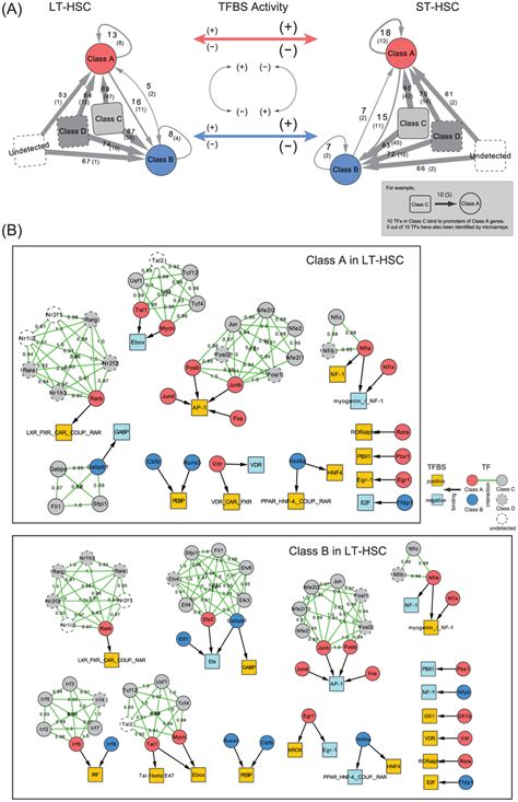 Inference Of Transcriptional Regulatory Networks A Systematic Download Scientific Diagram