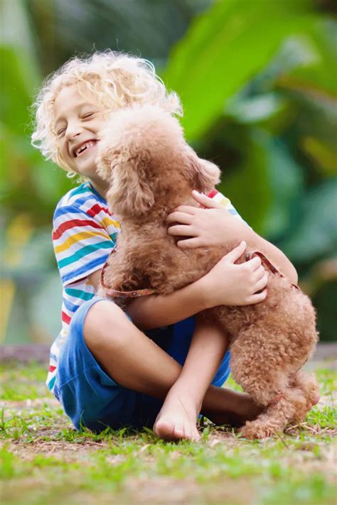 Jean Piagets Theory Of Cognitive Development