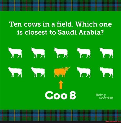 Ten Cows In A Field Which One Is Closest To Saudi Arabia Coo Being