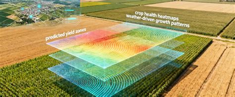 Guide To Crop Yield Prediction Methods In Farming