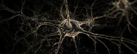 Detailed Neuron On Black Background Scientific Visualization Biology And Science Concept Stock