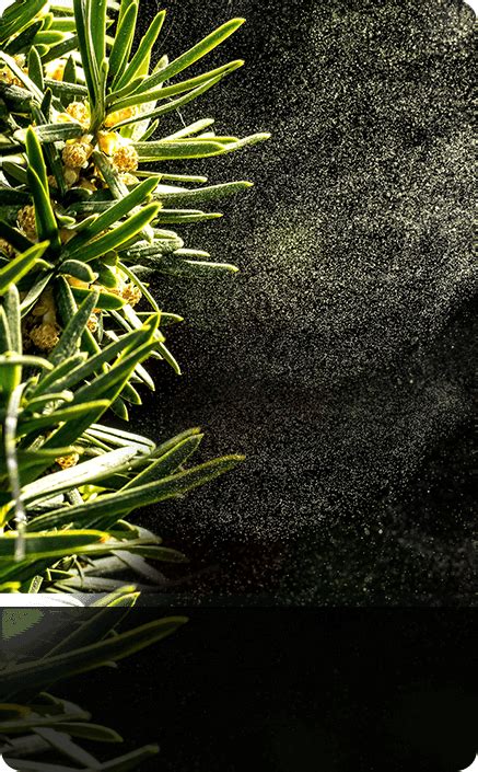 Xiaomi Smart Air Purifier Elite Xiaomi Global