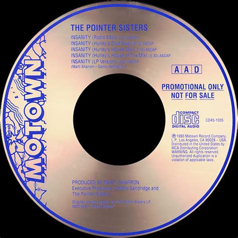 The Mixes And The Dubs The Pointer Sister Insanity 1990