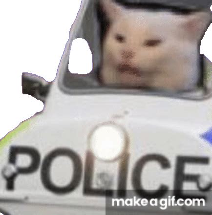 Police Cat Driving On Make A 