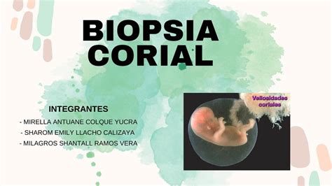 DOC WA Mirella Colque Yucra UDocz