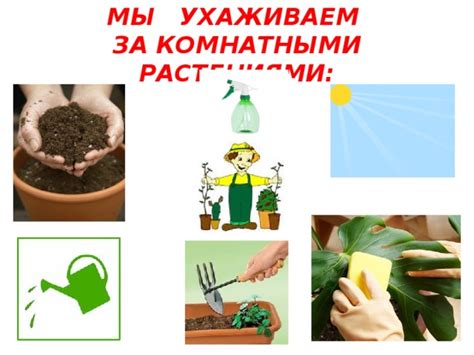 Картинки Уход За Растениями — Картинки фотографии