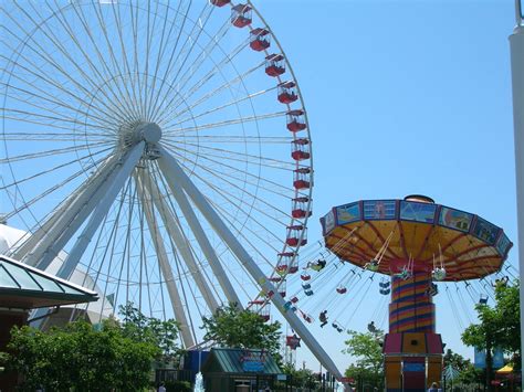 Download Navy Pier Wheel Swinger Attractions Wallpaper