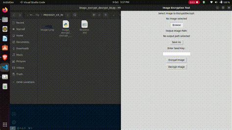 Building A Simple Image Encryption Tool Using Python Dev Community
