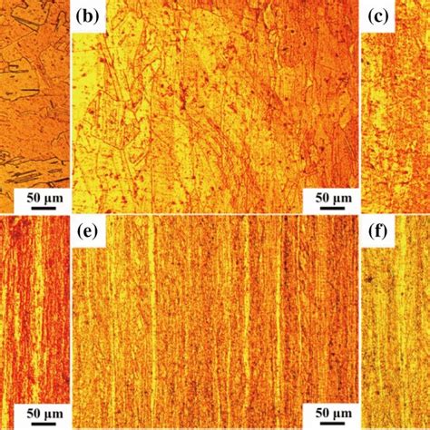Microstructures Of The Cucrzr Alloy By Ebsd A Solution Treated B Download Scientific