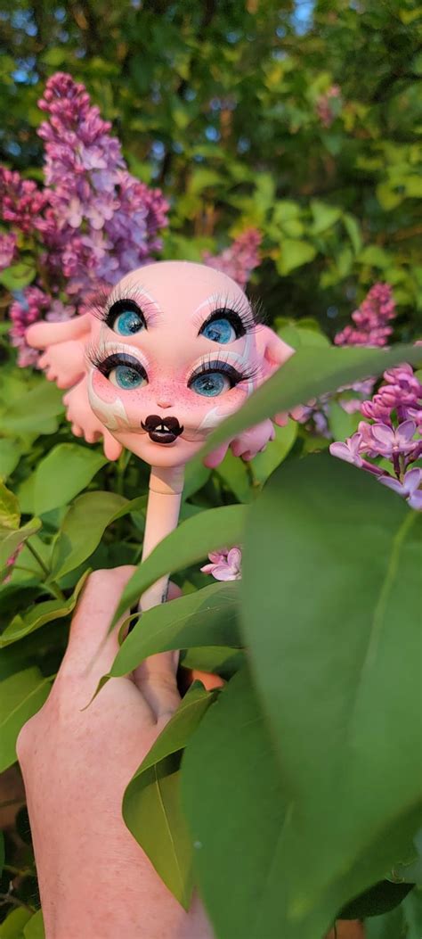 Melanie Martinez 17in Draculaura Custom Rmonsterhigh