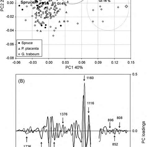 Pca Scores A And Loadings Plot B Of Spectra 2nd Derivative