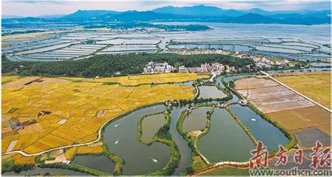 夯实“三农”压舱石 走出融合新路子惠州农业发展
