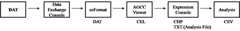 Dat To Analysis Pipeline Download Scientific Diagram