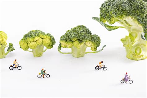 青花素材 青花模板 青花图片免费下载 设图网