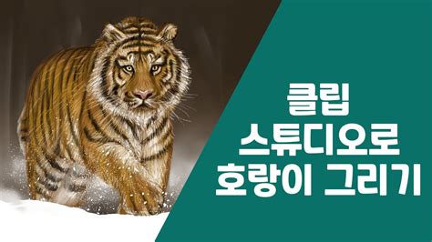 클립스튜디오로 호랑이 그리기 호랑이 호랑이 그림 그림 Drawing 클립스튜디오 Youtube