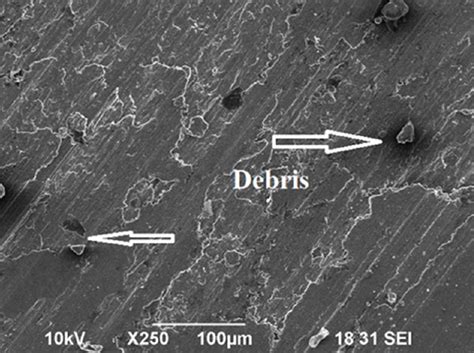 Ac Typical Sem Micrographs Of Composites Download Scientific Diagram