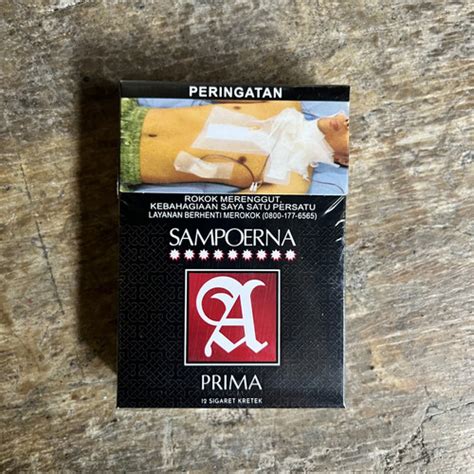 Jual Rokok Sampoerna Prima 12 Batang Kretek Hijau Sigaret Slop Pak
