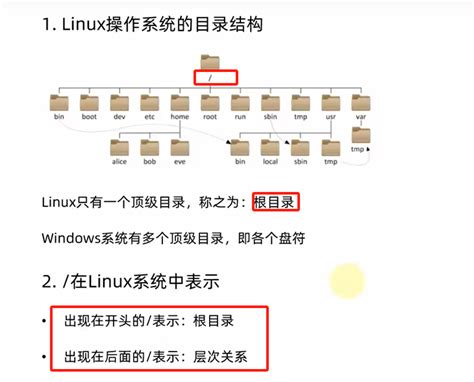 Linux操作系统 ls 命令 及其参数 和选项 不笨de汤姆猫 博客园