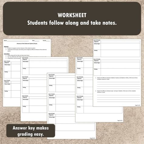 Diseases Of The Endocrine System By Dr Lamms Med Sci Madness Tpt