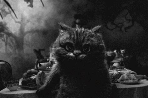 Alice Gifs Page WiffleGif