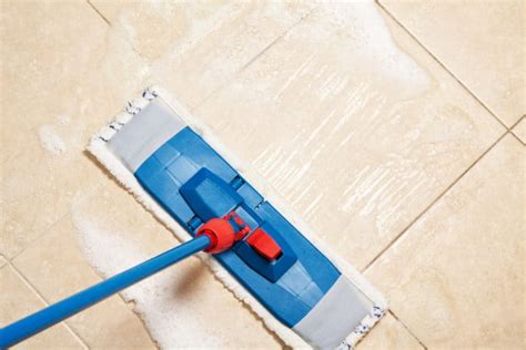 11 Different Types Of Mops For Any Kind Of Floor Oh So Spotless